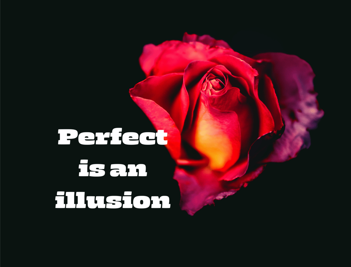 The Idea of Perfection – Wholeheartedly Faithful