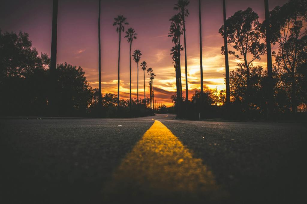 40 Days of Purpose: The Path to Peace – Wholeheartedly Faithul