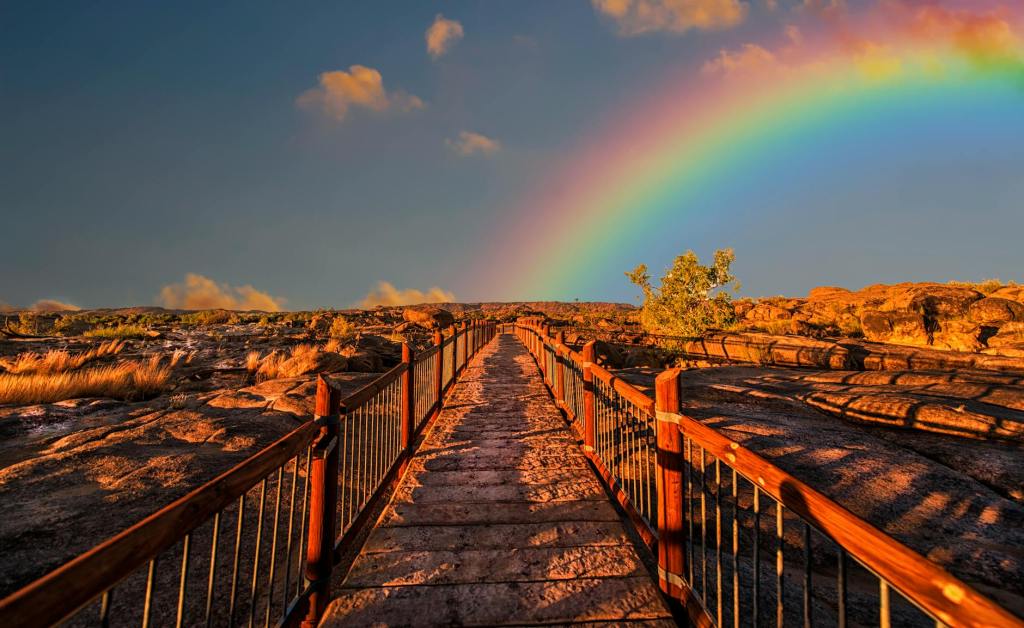 40 Days of Purpose: The Path to Peace – Wholeheartedly Faithul